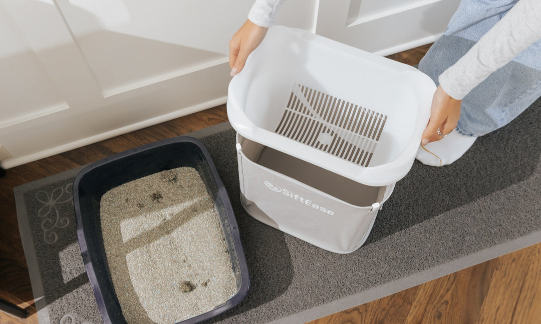 Litter Box Basics: How to Keep Your Cat's Bathroom Habits in Check ...