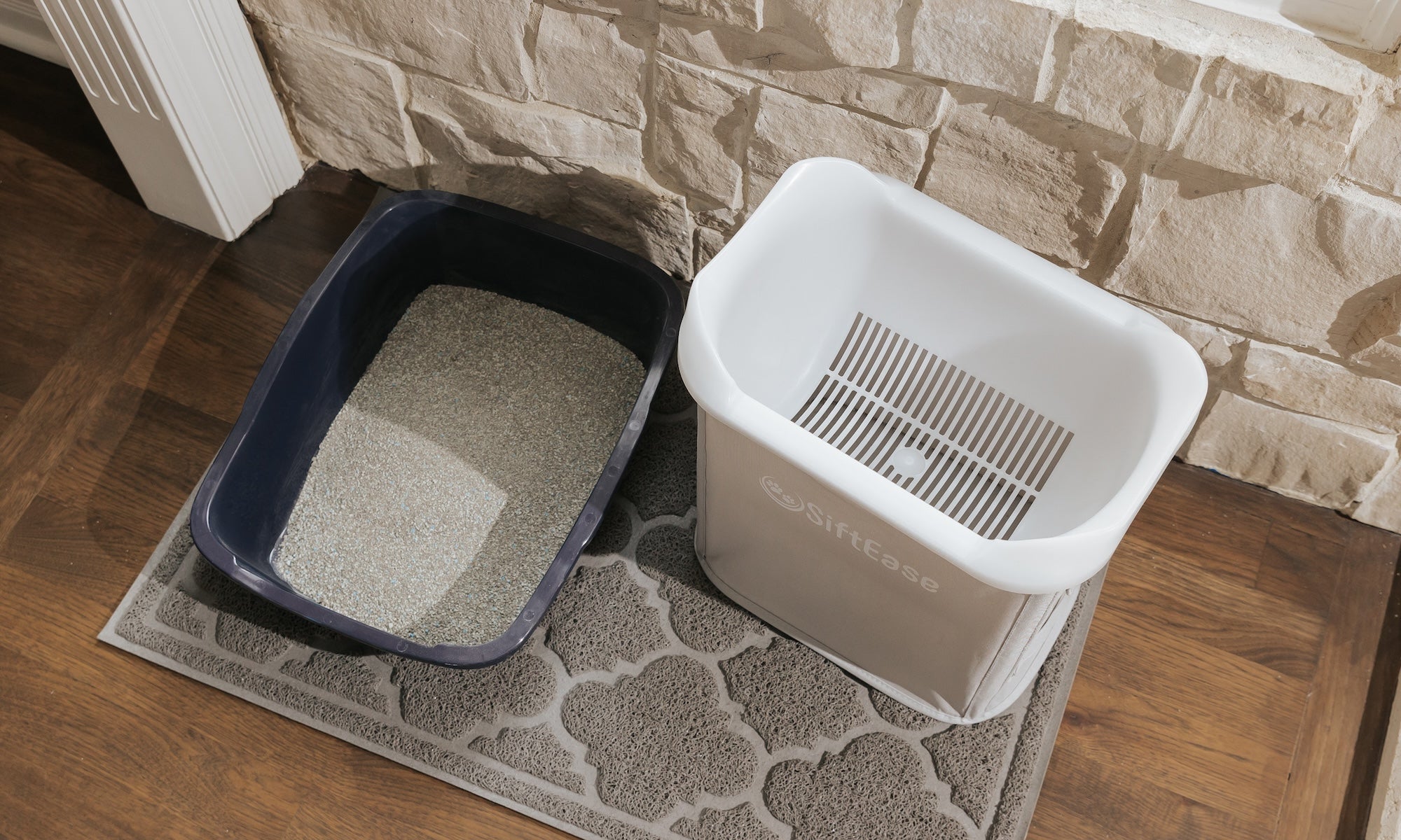Top 10 Tips for Choosing the Best Litter Box for Your Cat – Clean ...